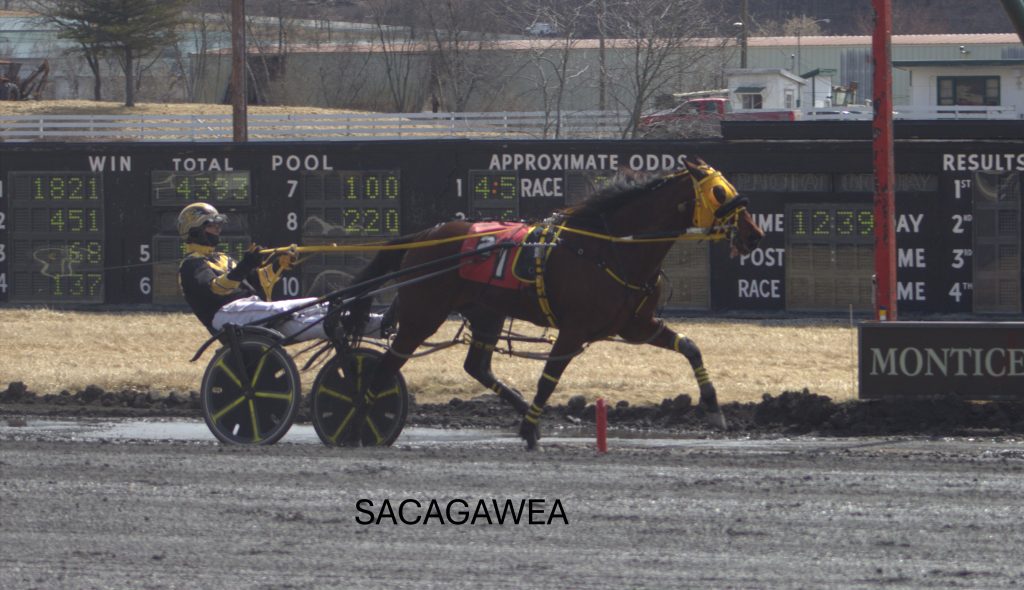 Scott Keepler Reins Sacagawea To The Win - Monticello Raceway