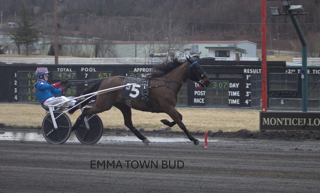 Emma Town Bud and Paya Tuesday Take Open Trots - Monticello Raceway