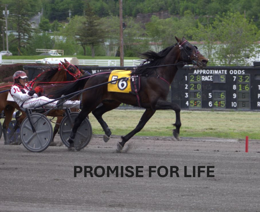 Wednesday, May 28 2025 Recap - Monticello Raceway