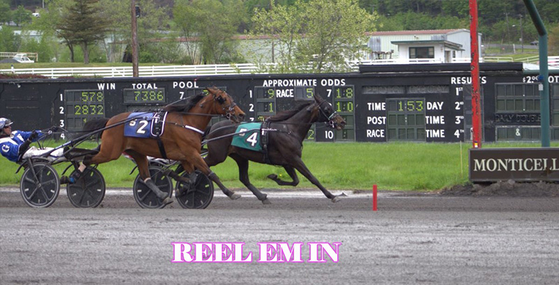 May 14 Recap - Monticello Raceway