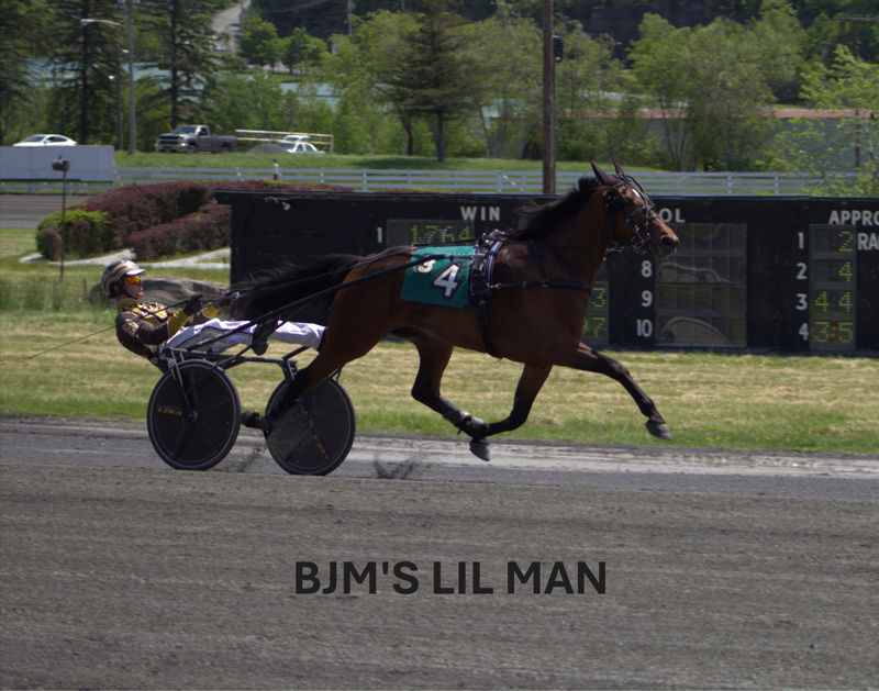 MONTICELLO RACEWAY HOSTS FIRST 2025 NEW YORK SIRE STAKES - Monticello ...